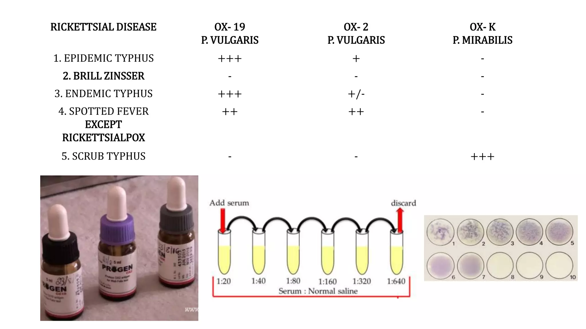 Rickettsial Infection.pptx