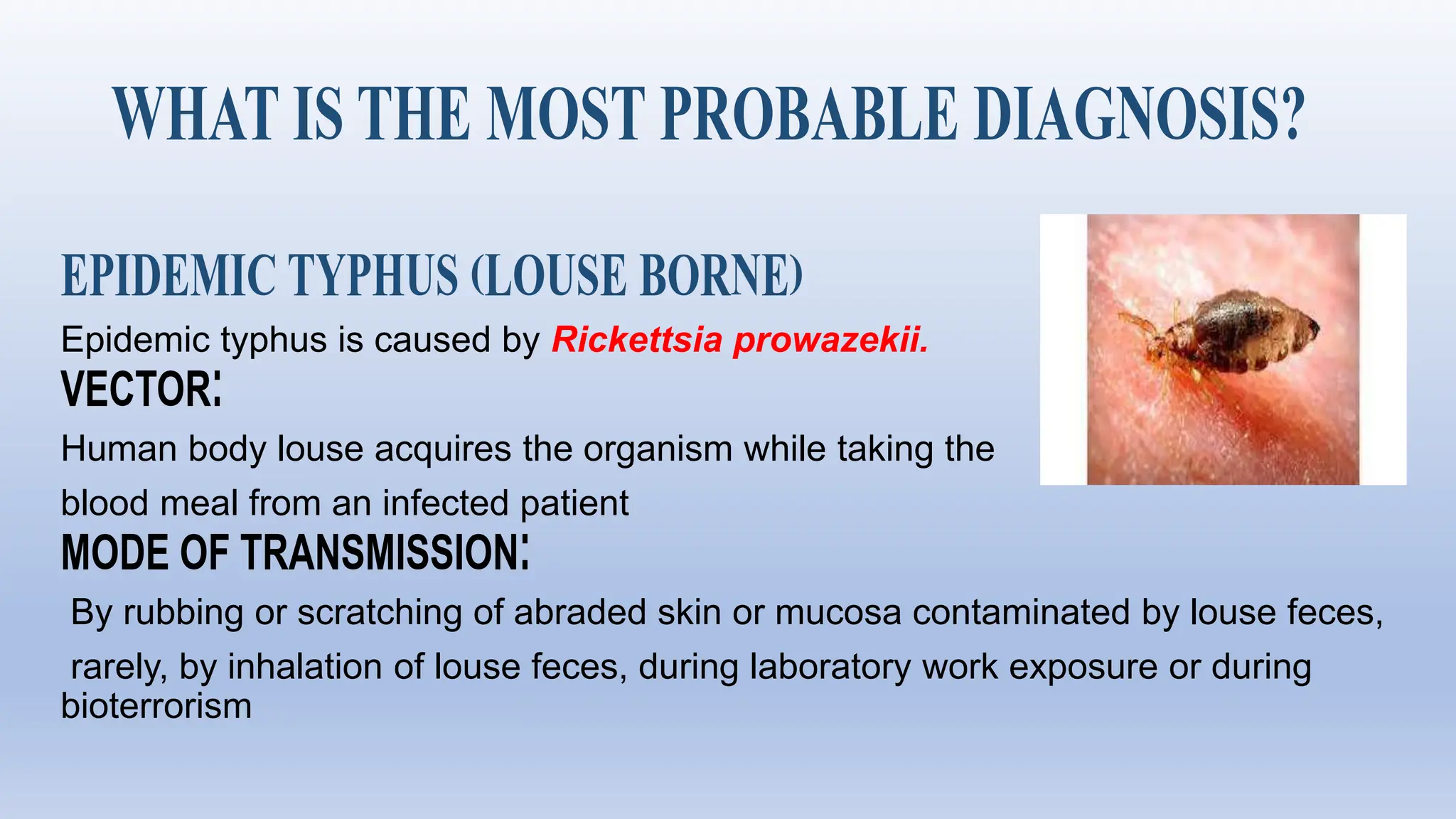 RICKETTSIAL INFECTION.pptx