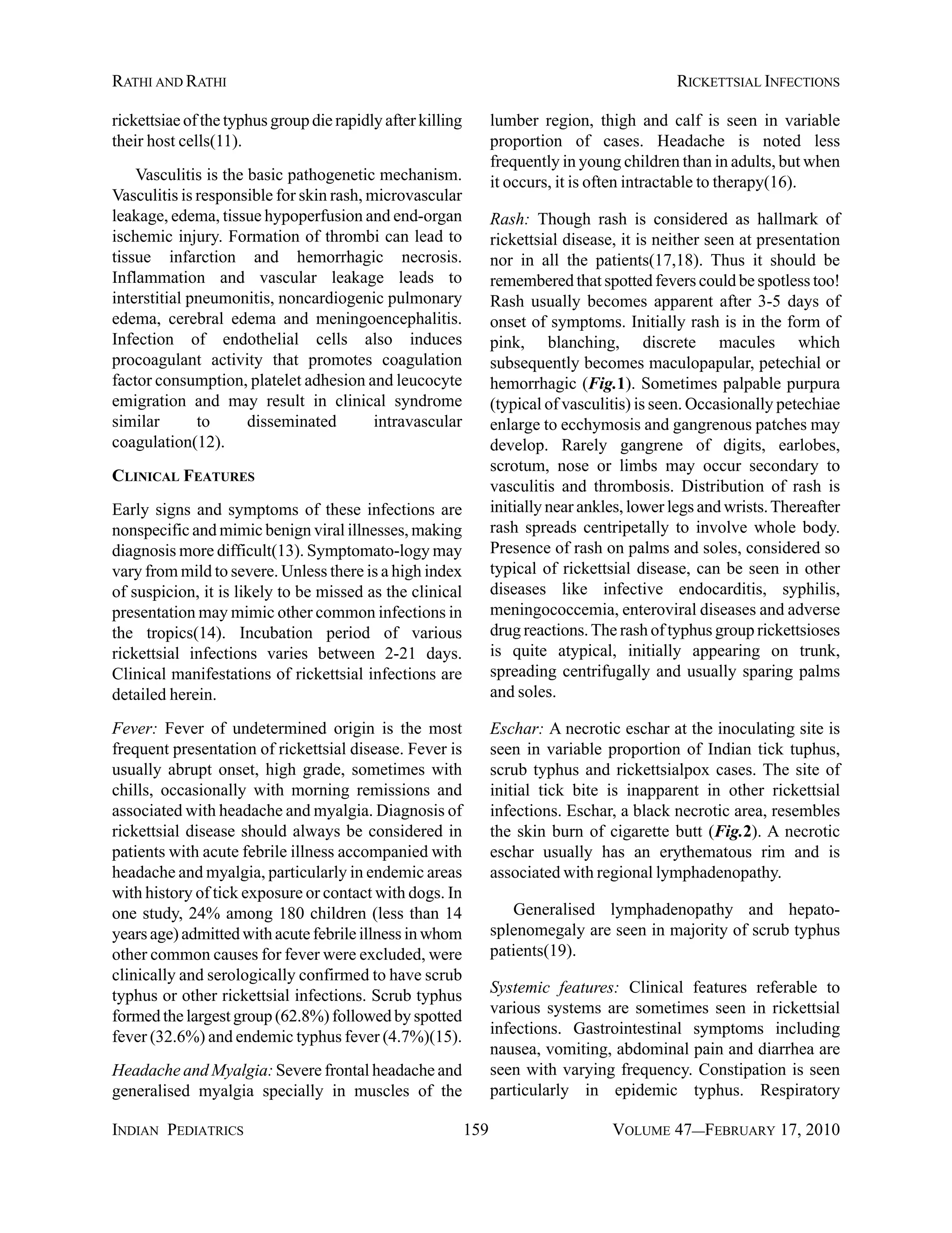 Rickettsial Infections | PDF