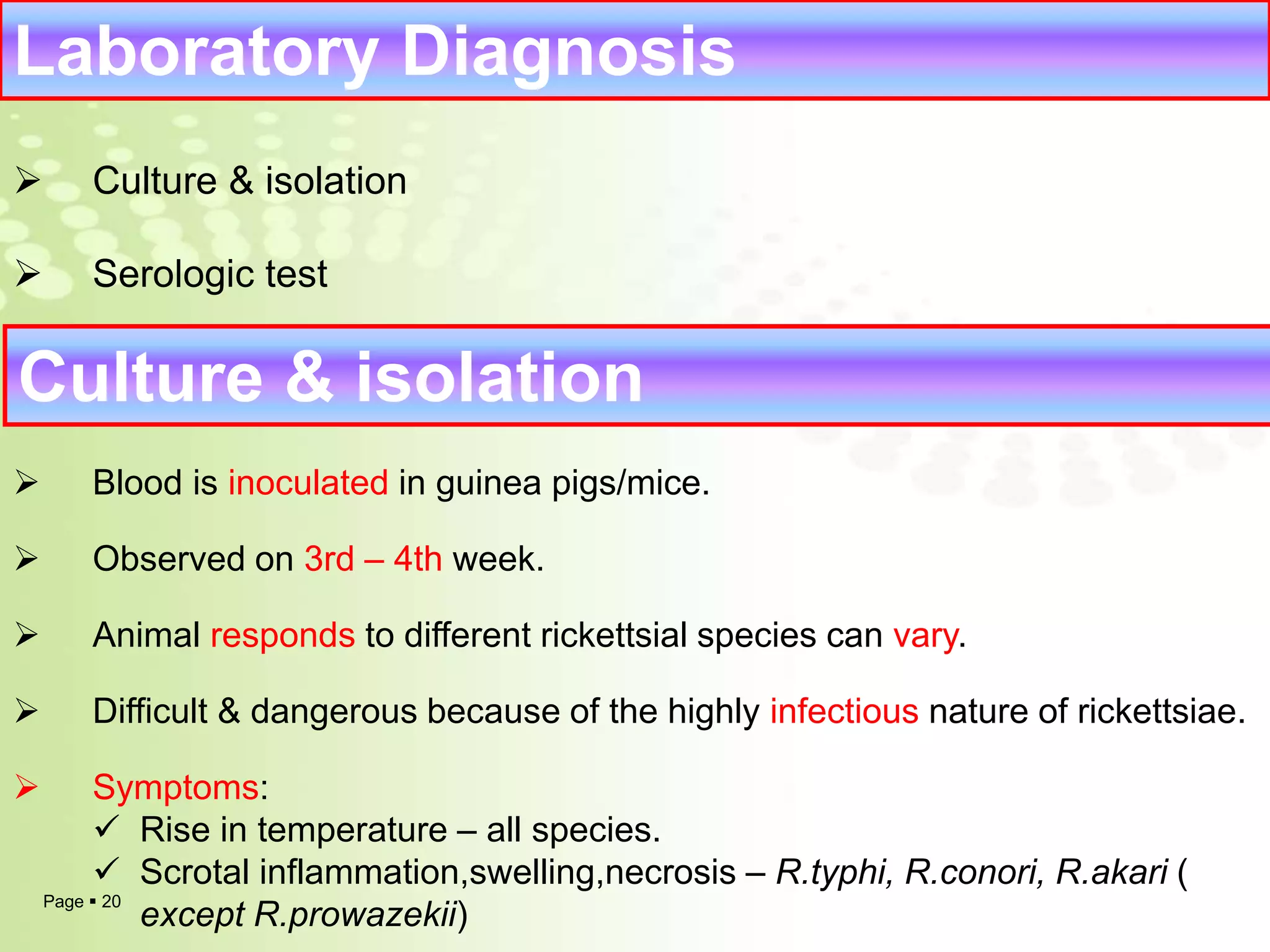 Rickettsia | PPT