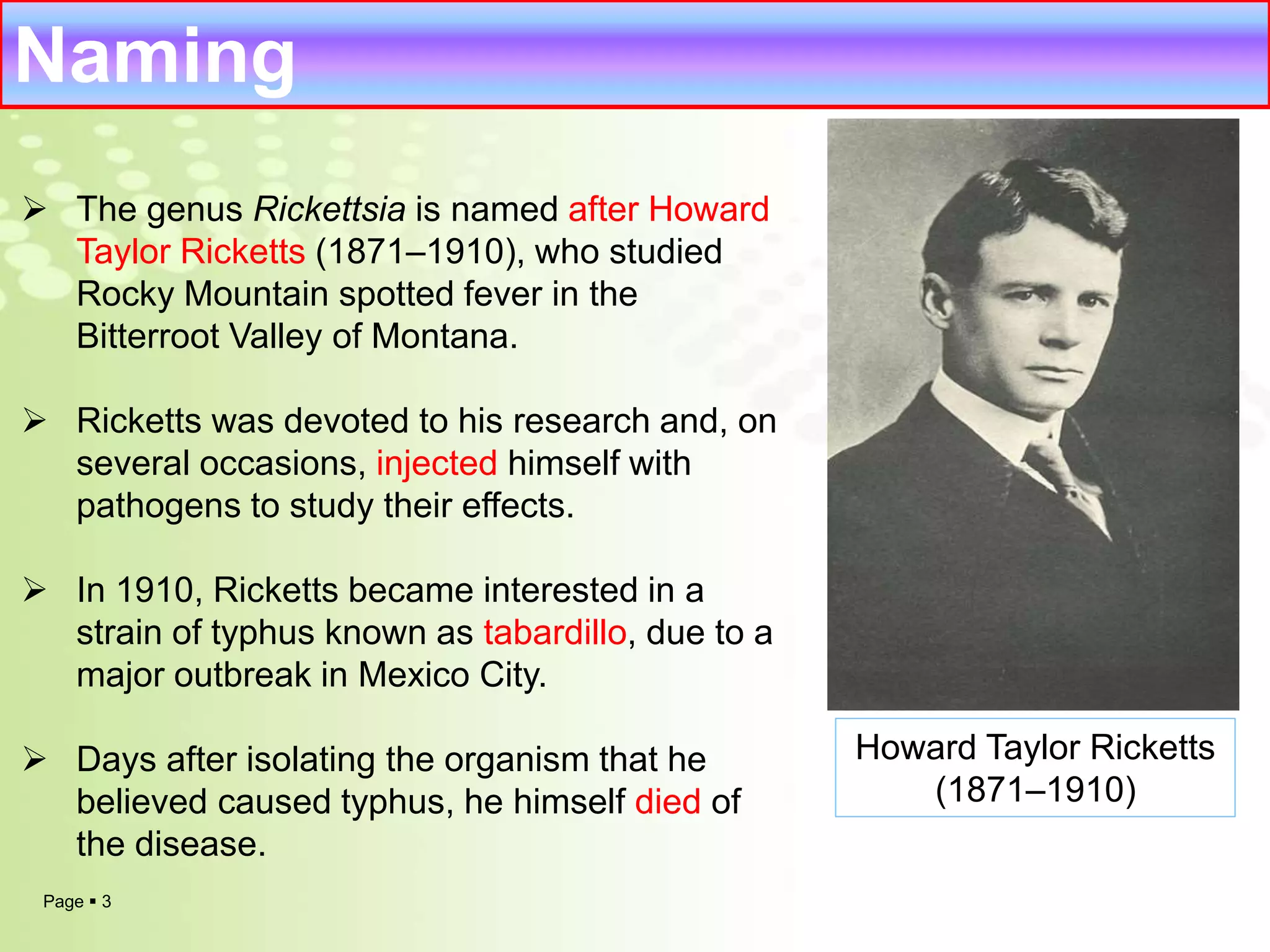 Rickettsia | PPT