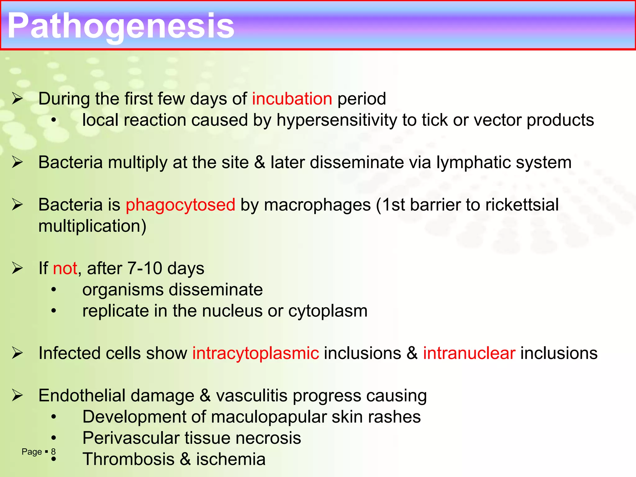 Rickettsia | PPT
