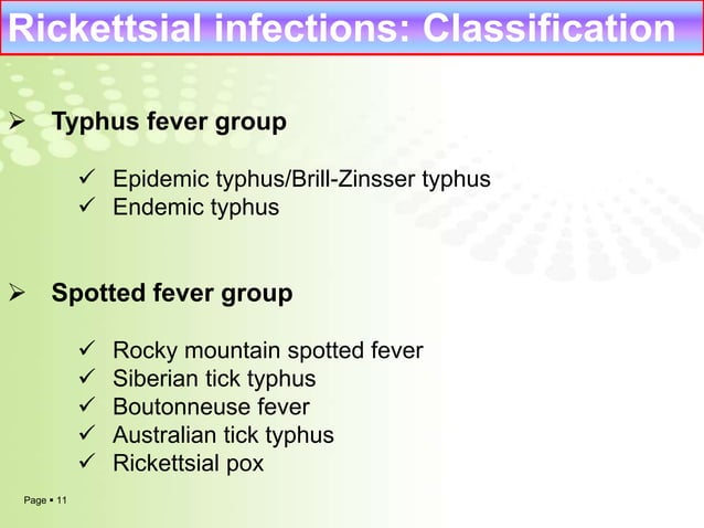 Rickettsia | PPT | Infectious Diseases | Diseases and Conditions