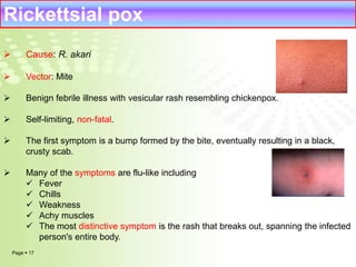 Rickettsia | PPT