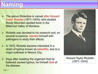 Rickettsia | PPT