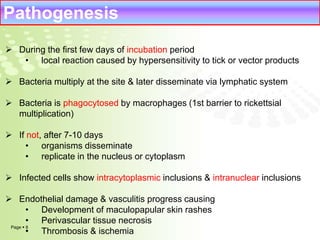 Rickettsia | PPT