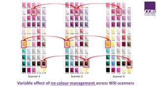 Colour management in digital pathology by Rick Salmon, FFEI Ltd | PDF