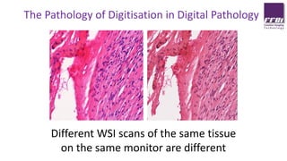 Colour management in digital pathology by Rick Salmon, FFEI Ltd | PDF