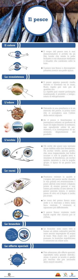 Riconoscere il pesce | PDF