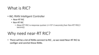 Ric presentation | PPTX