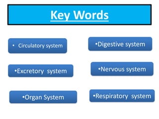 organs in human | PPT