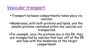 Golgi Apparatus (Cell Organelle) In Eukaryotes | PPTX