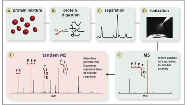 Amino Acid Sequencing and its methods of preparation | PPT