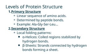 Amino Acid Sequencing and its methods of preparation | PPTX
