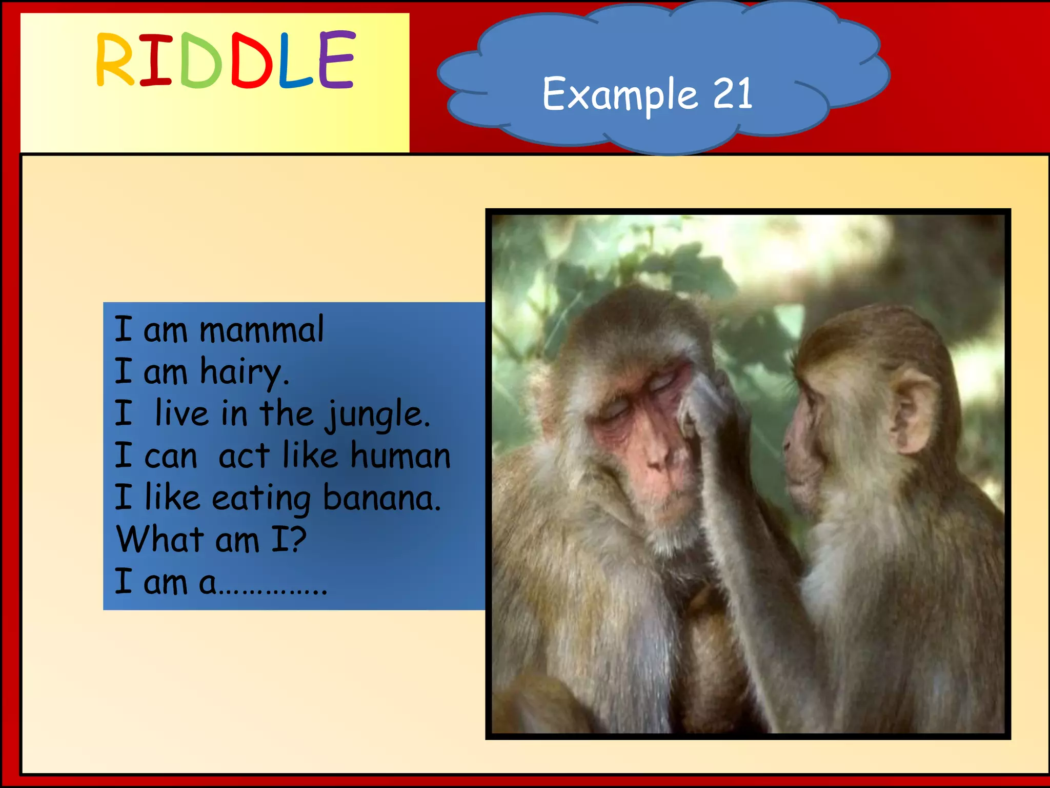 Animal Riddles. | PPT