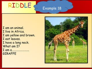 Animal Riddles. | PPT