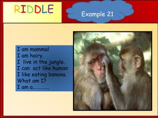 Animal Riddles. | PPT