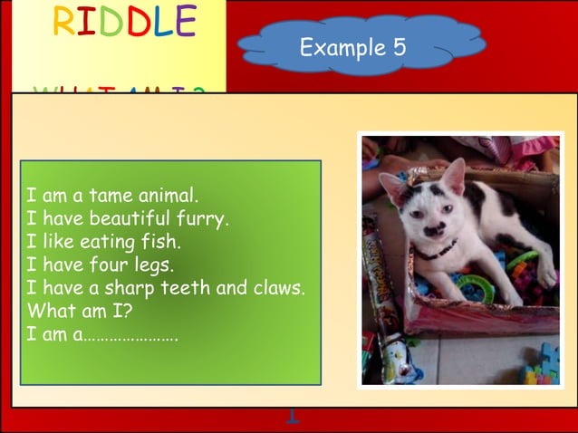 Animal Riddles. | PPT | Homework and Study | Education