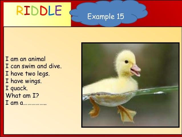 Animal Riddles.