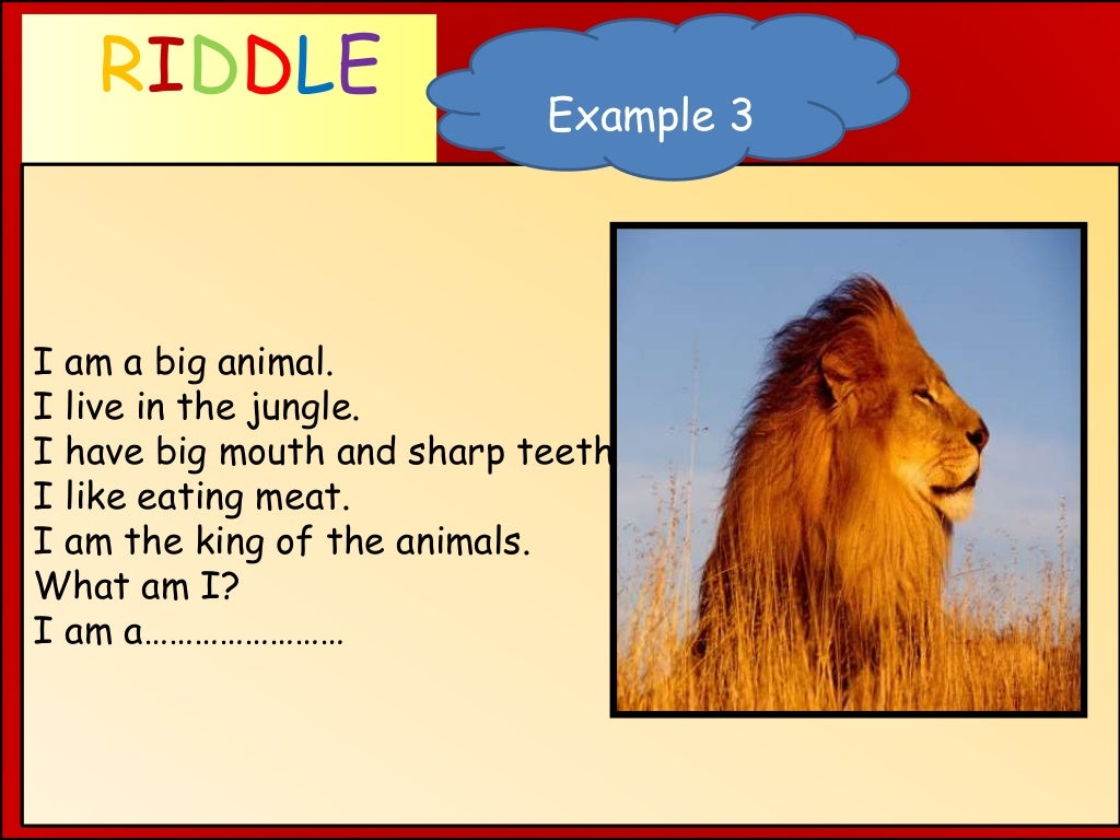 Animal Riddles.
