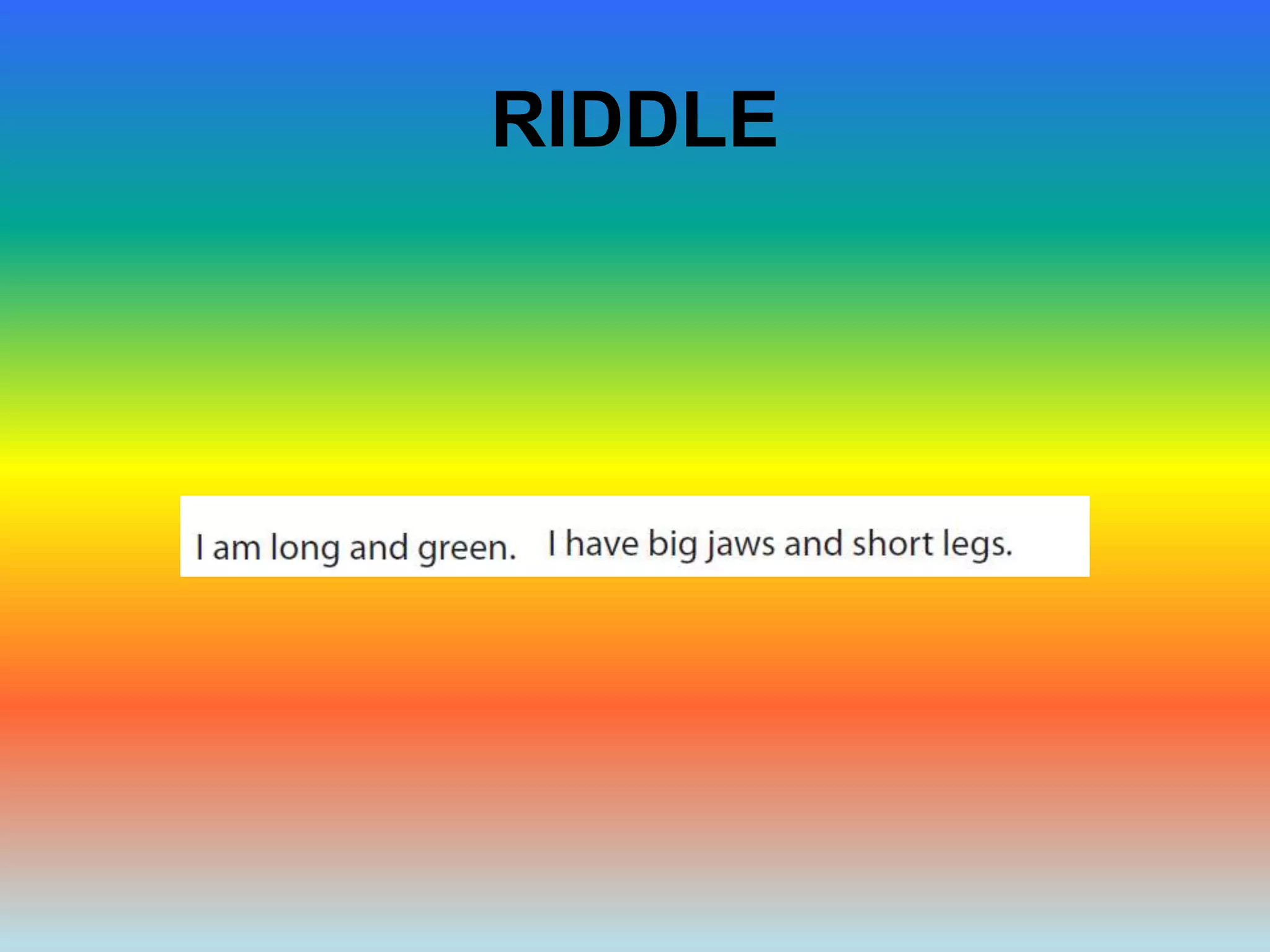 Riddles | PPTX