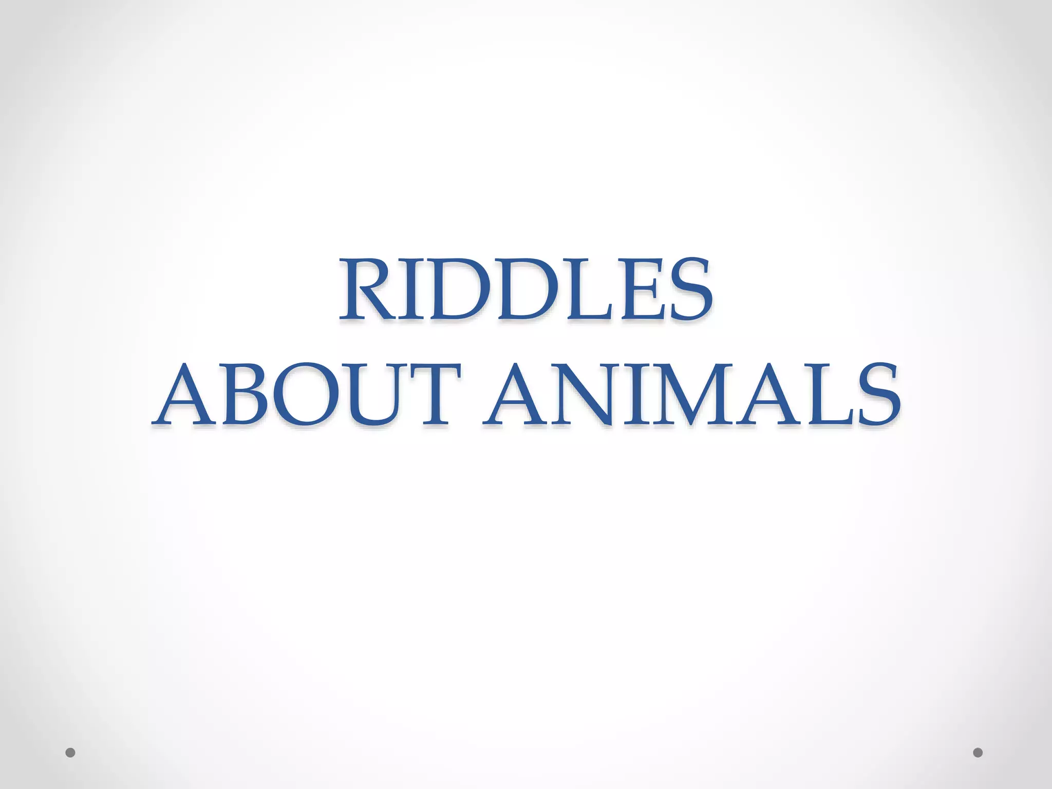Riddles | PPTX