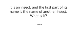English Riddles Collection | PPT
