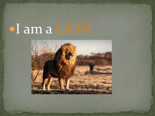 RIDDLES ABOUT ANIMALS.pptx | Free Download