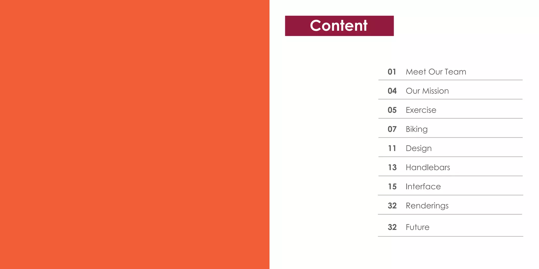 Ride Rite Project | PDF