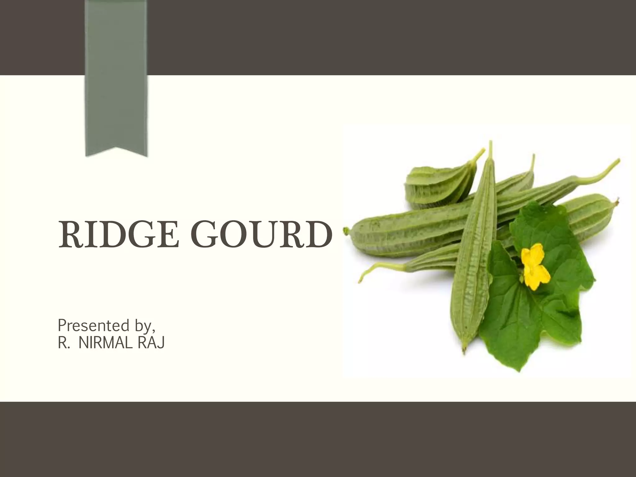 Systematics of Rigde Gourd(Luffa acutangula) | PPTX