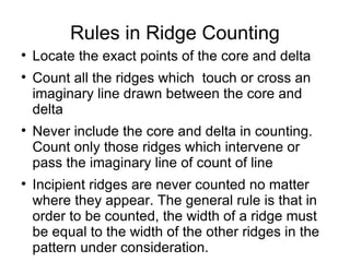 Ridge counting-and-tracing | PPT