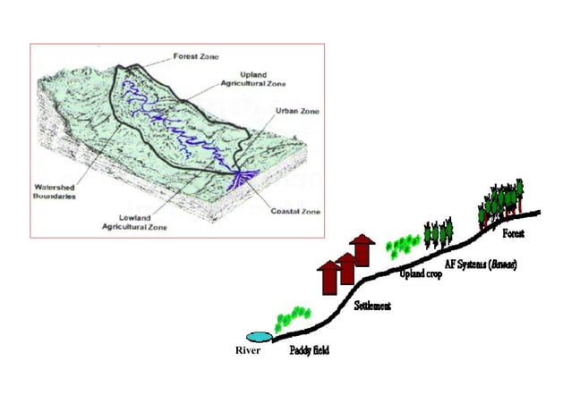Ridge-to-Reef Approach in Planning.pdf | Geography | Science