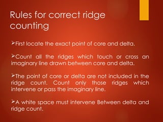 ridge counting amd ridge tracing is ridges crossing or touching an ...