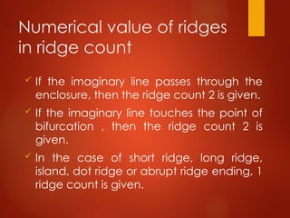 ridge counting amd ridge tracing is ridges crossing or touching an ...