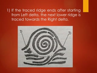 ridge counting amd ridge tracing is ridges crossing or touching an ...