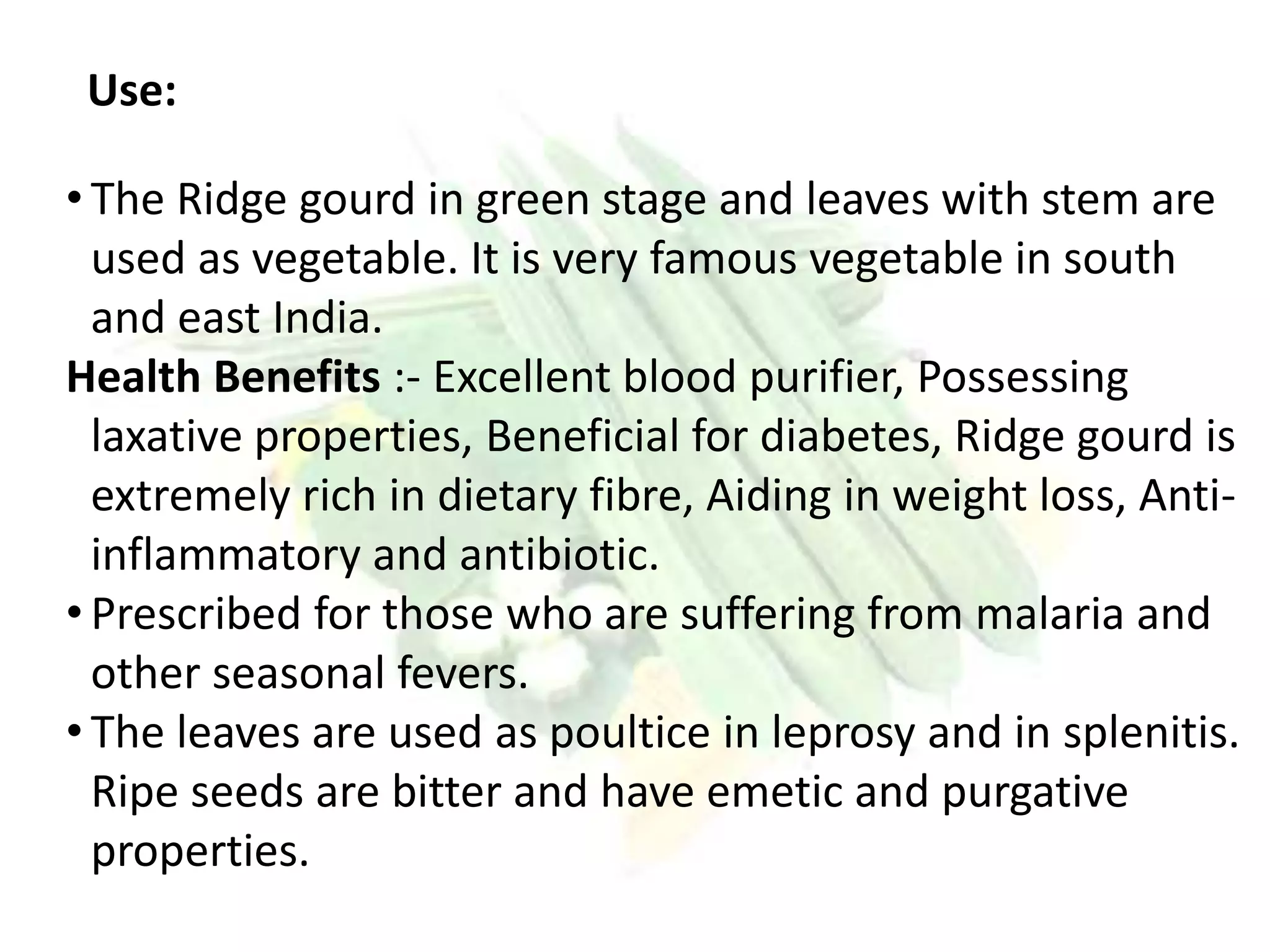 Ridge gourd | PPTX