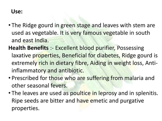 Ridge gourd | PPTX