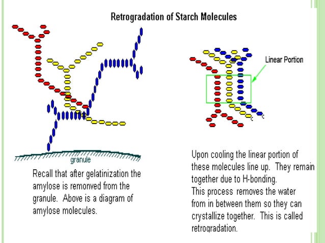 modified starch | PPT | Chemistry | Science