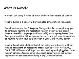 Riding Apache Camel | PPT