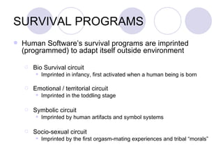 Riding The Wave | PPT