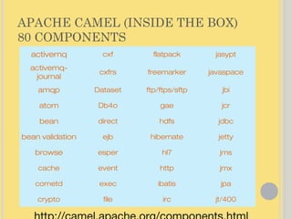 Riding with camel | PPT