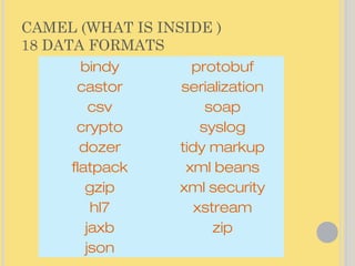 Riding with camel | PPT