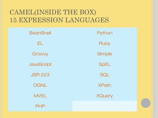 Riding with camel | PPT