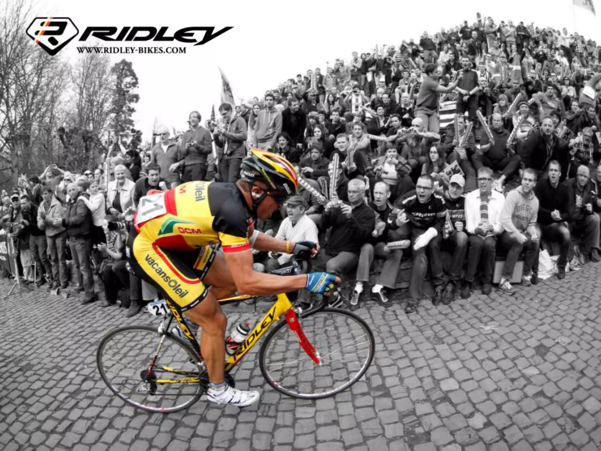 Ridley Catalogue 2012 | PPTX