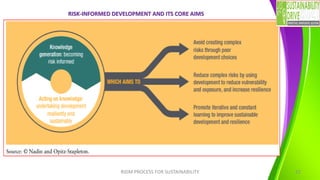 RISK-INFORMED DECISION-MAKING PROCESS FOR CORPORATE SUSTAINABLE ...