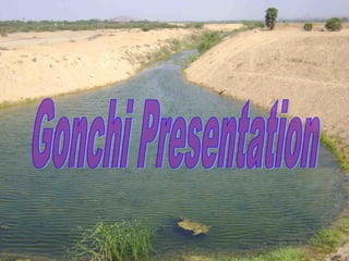 Rids | PPT | Agriculture | Industries