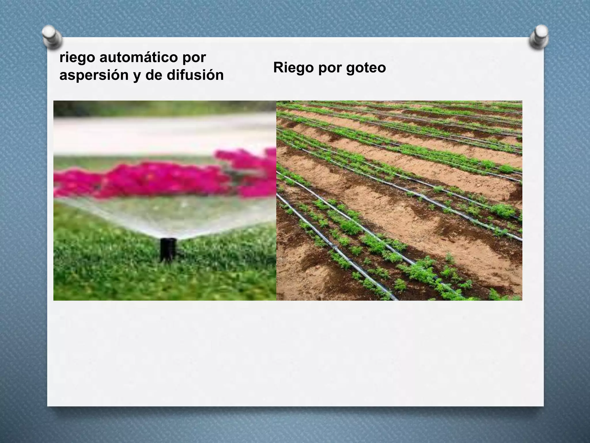 Riego, drenaje y manejo de suelos | PPT
