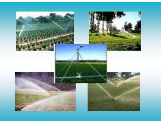 Riego por aspersion | PPTX | Agriculture | Industries