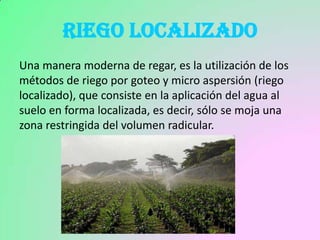 Riego y drenaje de suelos agricolas | PPTX