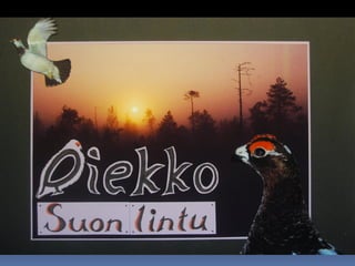 Riekko suon lintu_Ilpo Lahtinen | PPT